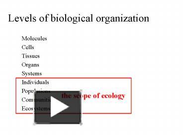 PPT – Levels of biological organization PowerPoint presentation | free ...