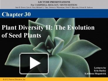 PPT – Plant Diversity II: The Evolution of Seed Plants PowerPoint ...