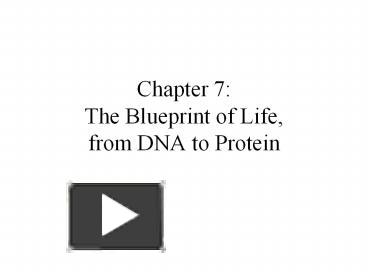 PPT – Chapter 7: The Blueprint of Life, from DNA to Protein PowerPoint ...