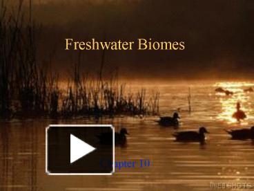 Freshwater Biomes presentation | free to download