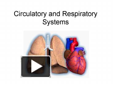 Circulatory and Respiratory Systems presentation | free to view