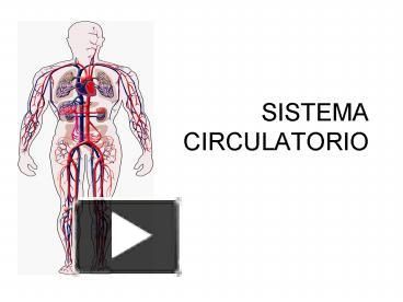 SISTEMA CIRCULATORIO presentation | free to download