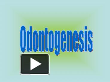 Odontogenesis presentation | free to view