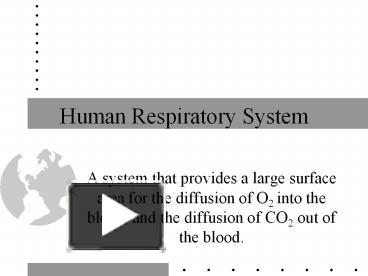 Human Respiratory System presentation | free to download