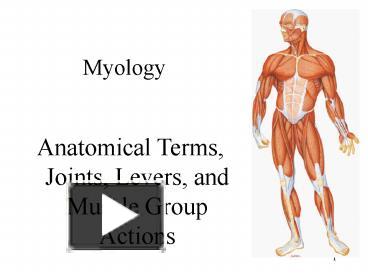 Myology presentation | free to view