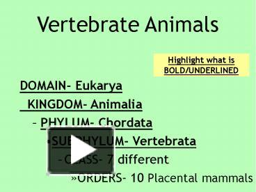 PPT – Vertebrate Animals PowerPoint presentation | free to download ...