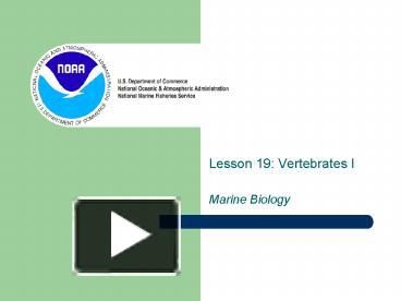 Lesson 19: Vertebrates I presentation | free to download