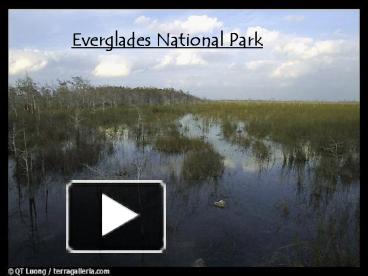 Everglades National Park presentation | free to view