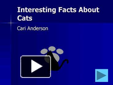 Interesting Facts About Cats presentation | free to view