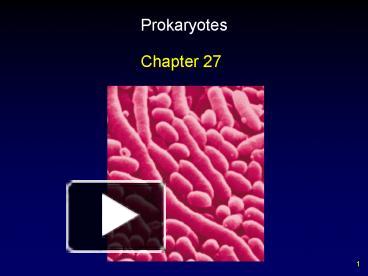 PPT – Prokaryotes PowerPoint presentation | free to view - id: 6037ca-NzI5Y