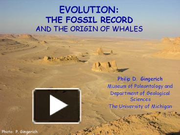 EVOLUTION: THE FOSSIL RECORD AND THE ORIGIN OF WHALES presentation ...
