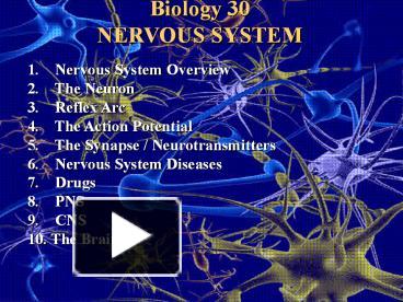 Biology 30 NERVOUS SYSTEM presentation | free to view