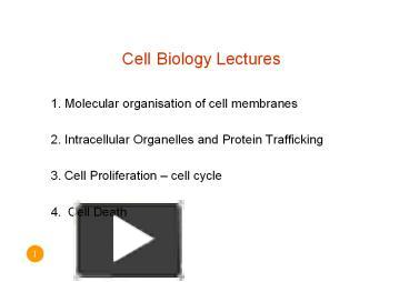 PPT – Cell Biology Lectures PowerPoint presentation | free to view - id ...