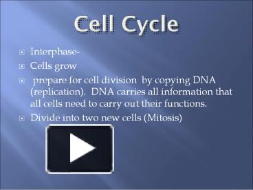 PPT – Cell Cycle PowerPoint presentation | free to download - id ...