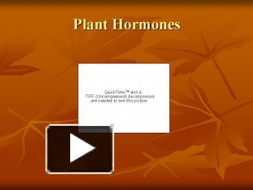 PPT – Plant Hormones PowerPoint presentation | free to view - id ...