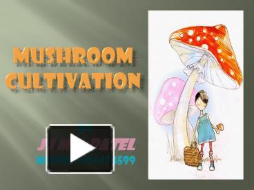 Mushroom cultivation presentation | free to download