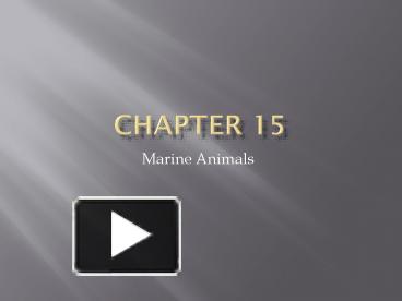 PPT – Marine Animals PowerPoint presentation | free to view - id ...