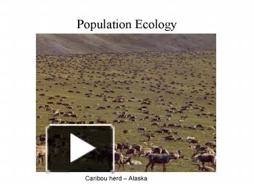 PPT – Population Ecology PowerPoint presentation | free to view - id ...