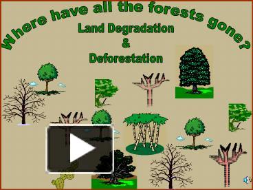 Where have all the forests gone? presentation | free to view
