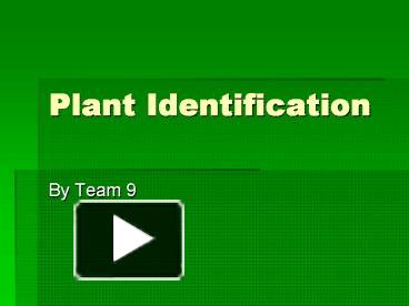 PPT – Plant Identification PowerPoint presentation | free to view - id ...