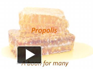 Propolis presentation | free to download