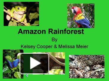 Amazon Rainforest presentation | free to view