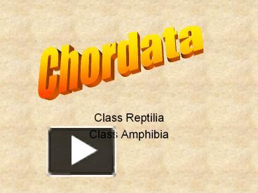 PPT – Class Reptilia PowerPoint presentation | free to view - id: 63670 ...