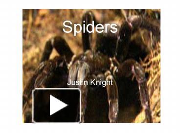 PPT – Spiders PowerPoint presentation | free to view - id: 638f3-ZDc1Z