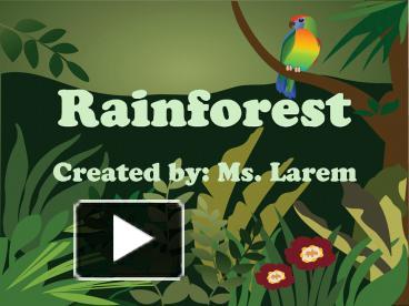 Rainforest presentation | free to view