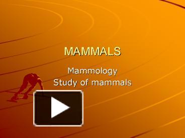 PPT – MAMMALS PowerPoint presentation | free to view - id: 63961-ZDc1Z