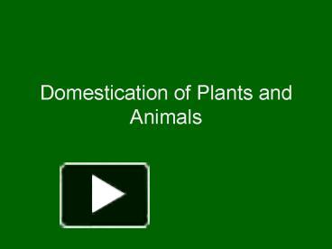 PPT – Domestication of Plants and Animals PowerPoint presentation ...
