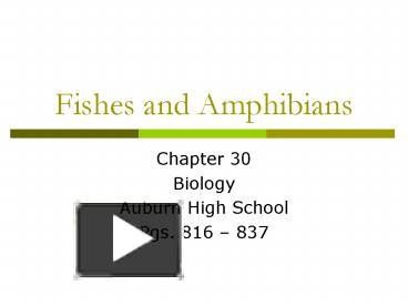 Fishes and Amphibians presentation | free to view