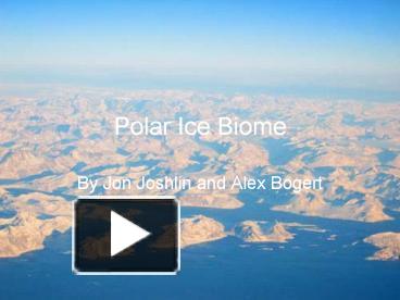 Polar Ice Biome presentation | free to view