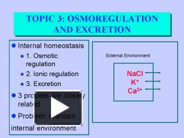 TOPIC 3: OSMOREGULATION AND EXCRETION presentation | free to view