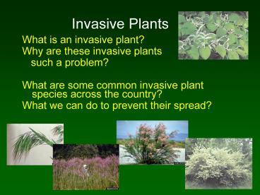 Invasive Plants presentation | free to download