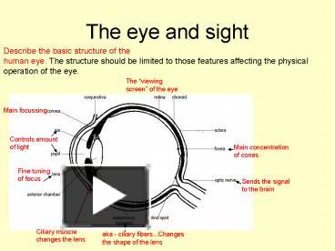 PPT – The eye and sight PowerPoint presentation | free to download - id ...