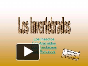 PPT – Los Insectos PowerPoint presentation | free to download - id ...