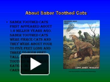 PPT – Saber toothed cats first appeared about 1'6 million years ago ...