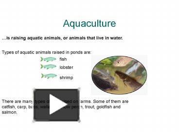 Aquaculture presentation | free to view