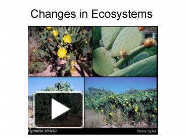 PPT – Changes in Ecosystems PowerPoint presentation | free to view - id ...