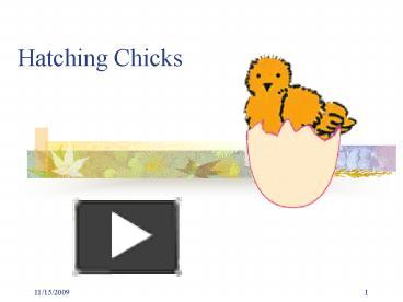 Hatching Chicks presentation | free to view