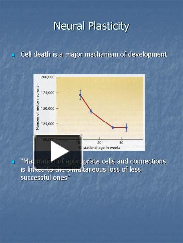 PPT – Neural Plasticity PowerPoint presentation | free to view - id: 65af4-ZDc1Z