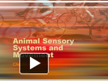 PPT – Animal Sensory Systems and Movement PowerPoint presentation ...