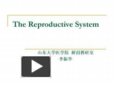 PPT – The Reproductive System PowerPoint presentation | free to view ...