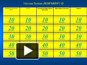 Nervous System JEOPARDY!! ? presentation | free to download
