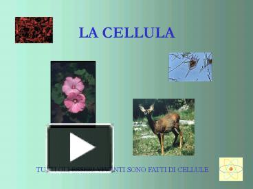 PPT – LA CELLULA PowerPoint presentation | free to download - id: 661fd3-YjJlZ
