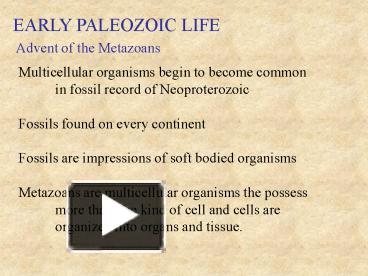 PPT – EARLY PALEOZOIC LIFE PowerPoint presentation | free to download ...
