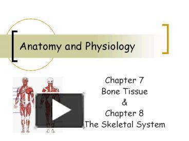 Anatomy and Physiology presentation | free to view