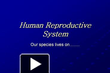 Human Reproductive System presentation | free to download
