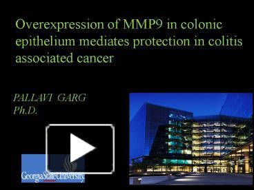 PPT – PALLAVI GARG PowerPoint presentation | free to view - id: 66e8b7-NWEzZ